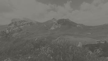 Daily Bible Reading Plans | SOAP Studies