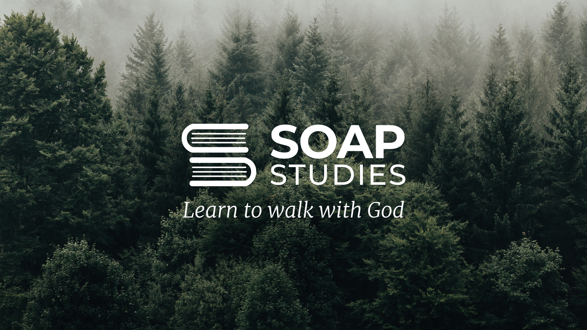 About SOAP Studies
